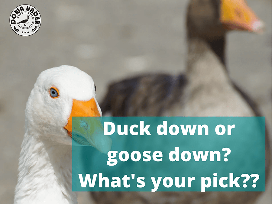 Goose Down vs. Duck Down Bedding: Which is Better for You?